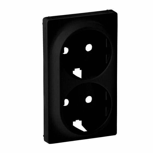 Legrand Valena LIFE. Лицевая панель для двойной силовой розетки 2х2К+З. Антрацит, 756952, 1 шт.
