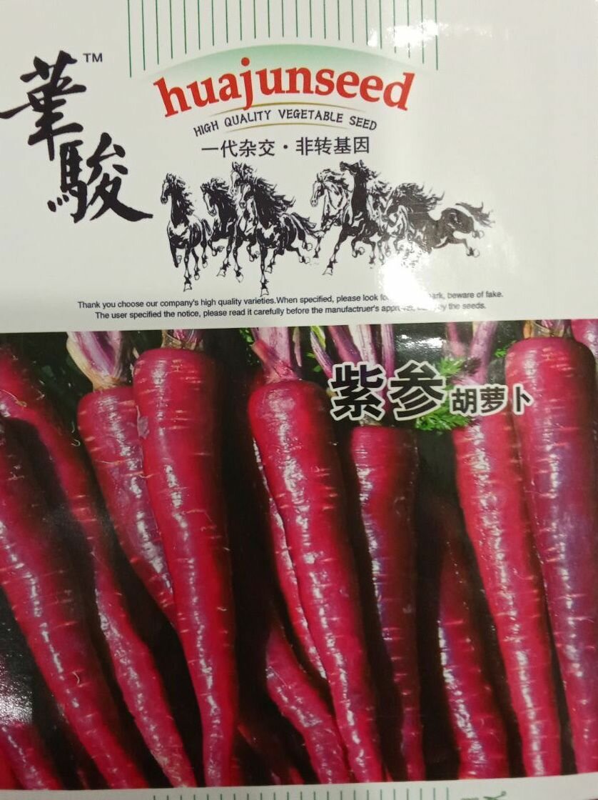 Семена китайской фиолетовой моркови