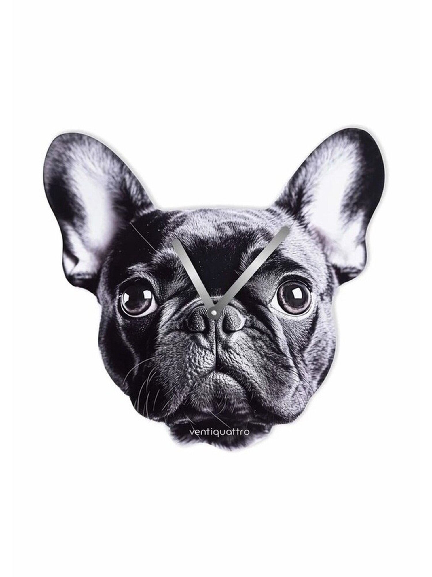 Часы настенные "Gabi ", французский бульдог, интерьерные, плавный ход, d-33,5 см 10886373