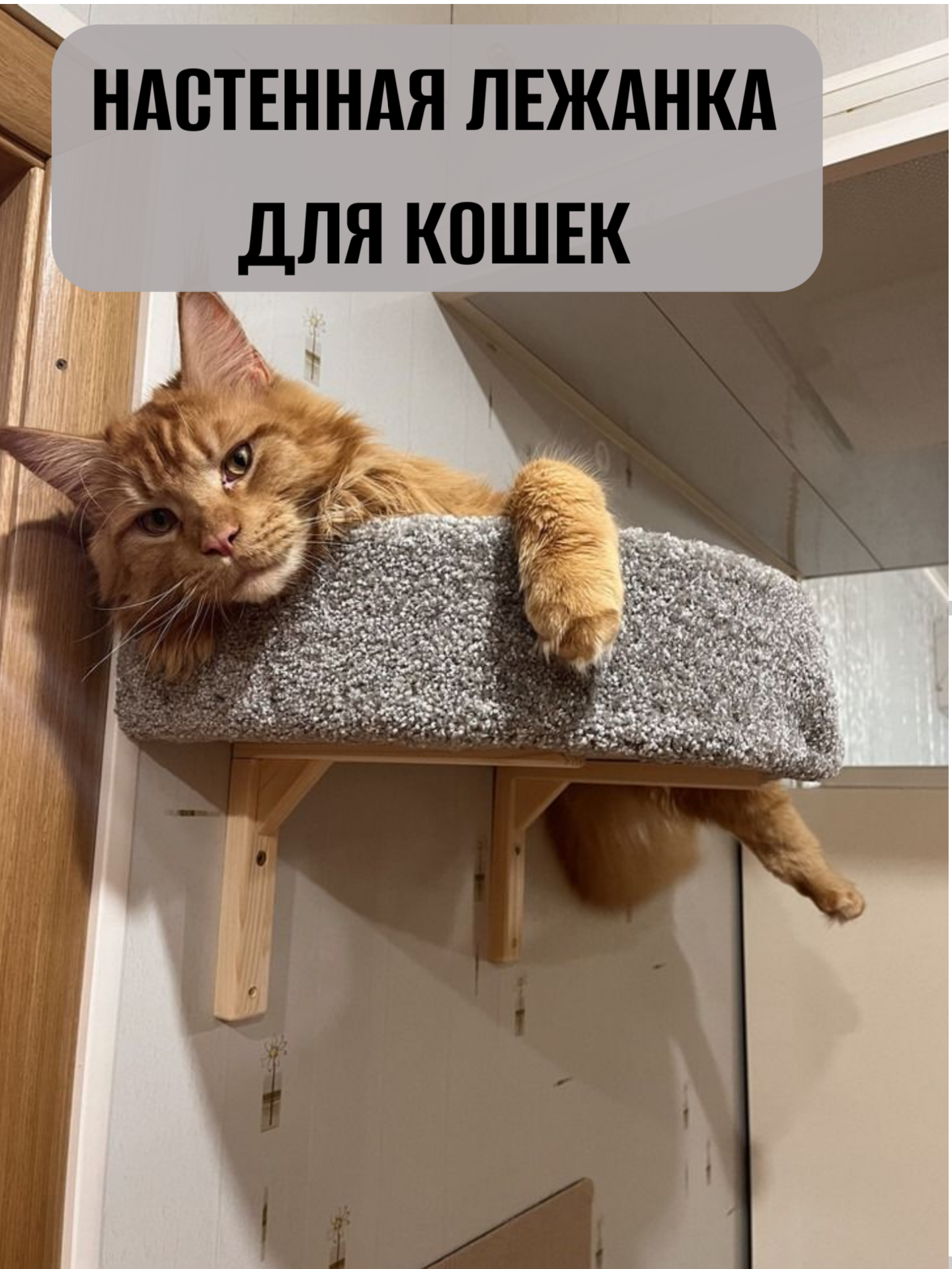 Лежанка для кошек, Моя Котя, настенная, с левым бортиком, ковролин светло-серый