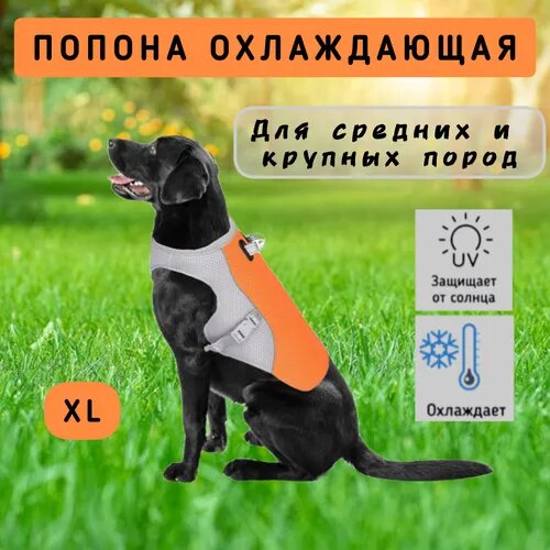 Охлаждающая одежда для собак/ Попона с защитой от солнца