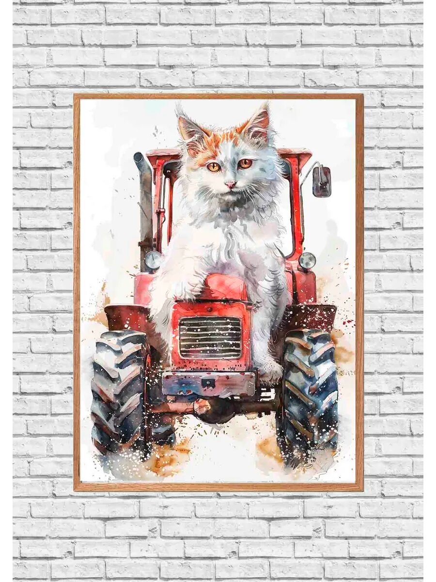 Турецкий фермер-Ван-Кот 0, Плакат 30x42см