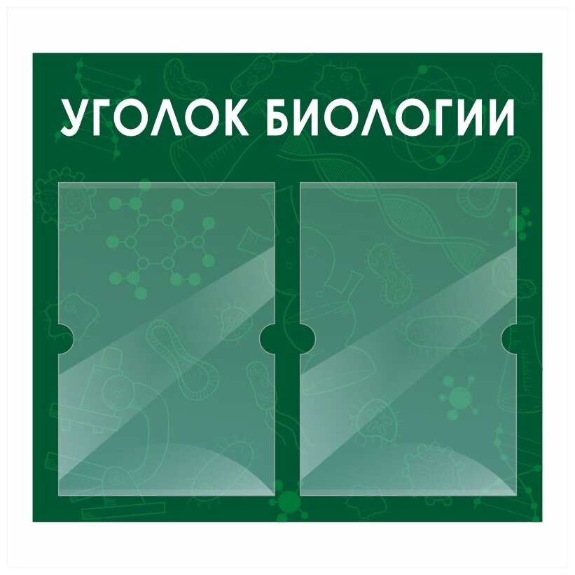 Стенд информационный "Уголок Биологии" 500х460 мм с 2 карманами А4 производство "ПолиЦентр"
