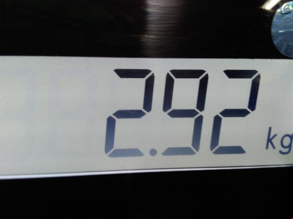 Коллектор выпускной Opel Astra G 24442866 арт. 1086804