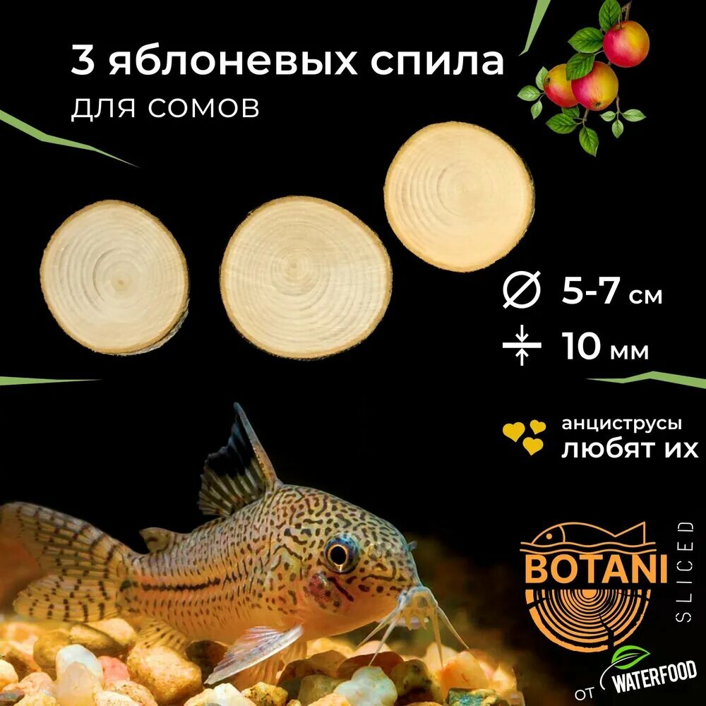 Спилы дерева (яблоня, 3 шт.) BOTANI SLICED от WATER FOOD - корм для сомов, толщина: ок. 1 см, диаметр: 3-5 см