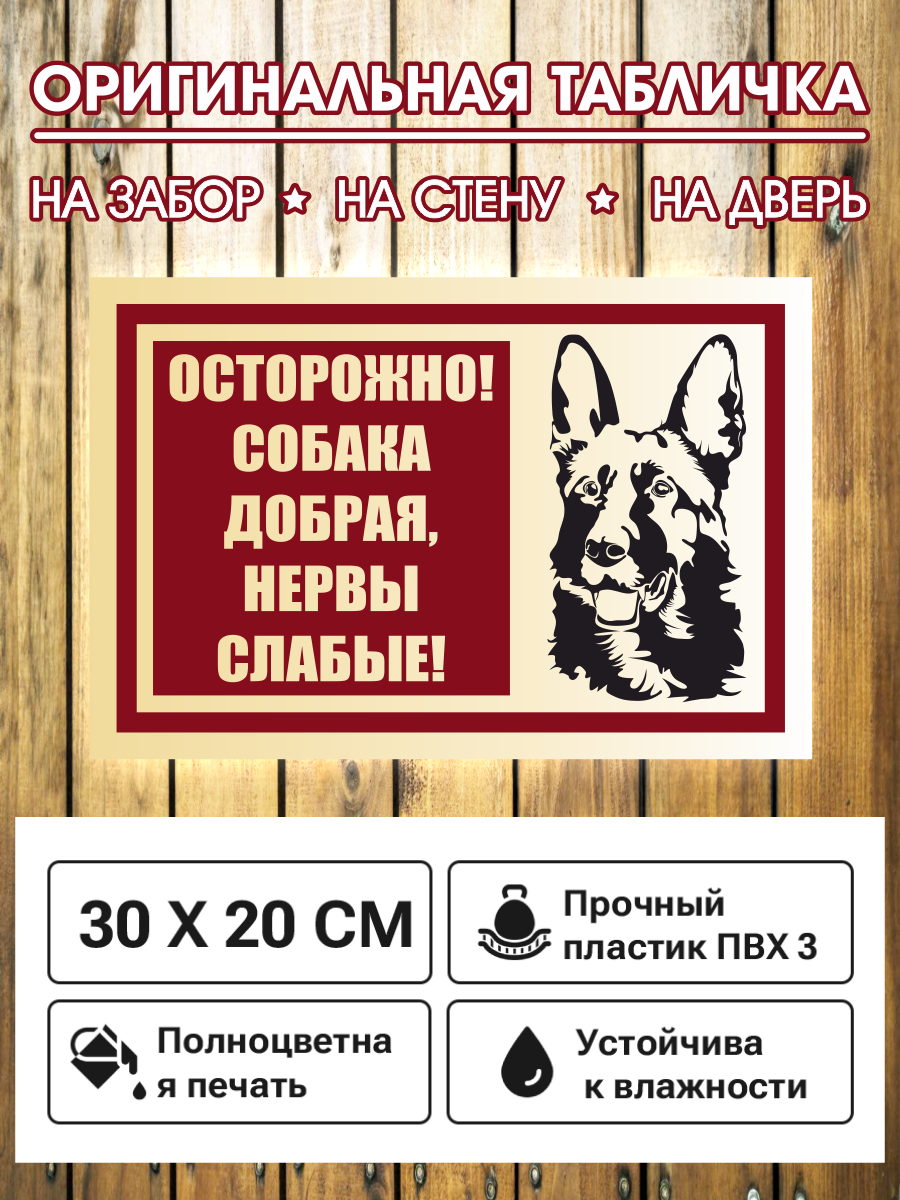 Информационная табличка "Осторожно, злая Собака", пластик, 30 см x 20 см