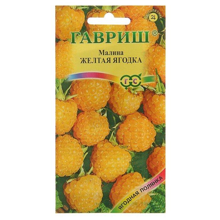 Семена Малина 'Желтая ягодка', 10 шт