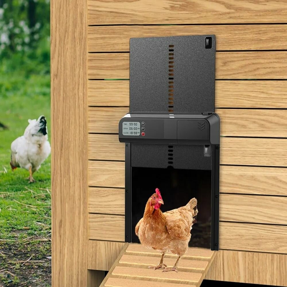 Автоматическая дверца курятника