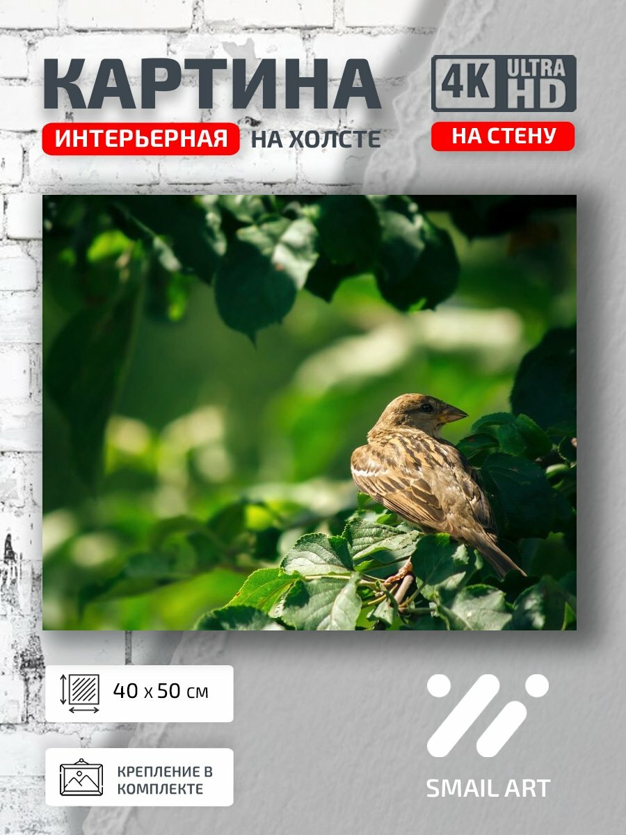 Картина на холсте интерьерная 40 на 50 на стену Птица Landscape для спальни пейзаж интерьер