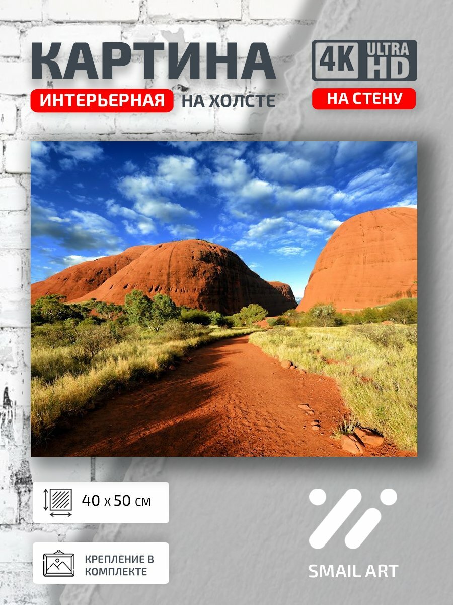 Картина на холсте интерьерная 40 на 50 на стену Австралии Landscape для офиса пейзаж декор