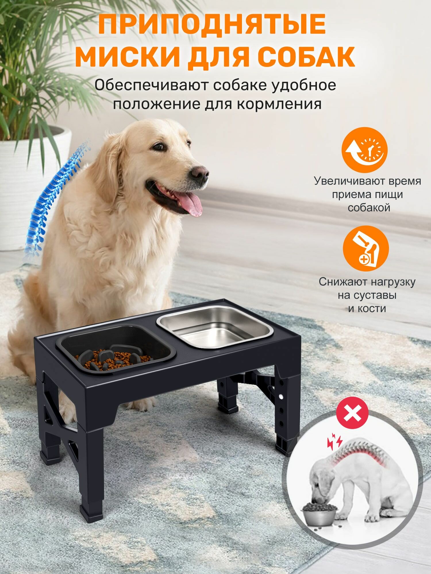 Золотая миска для корма собак из нержавеющей стали
