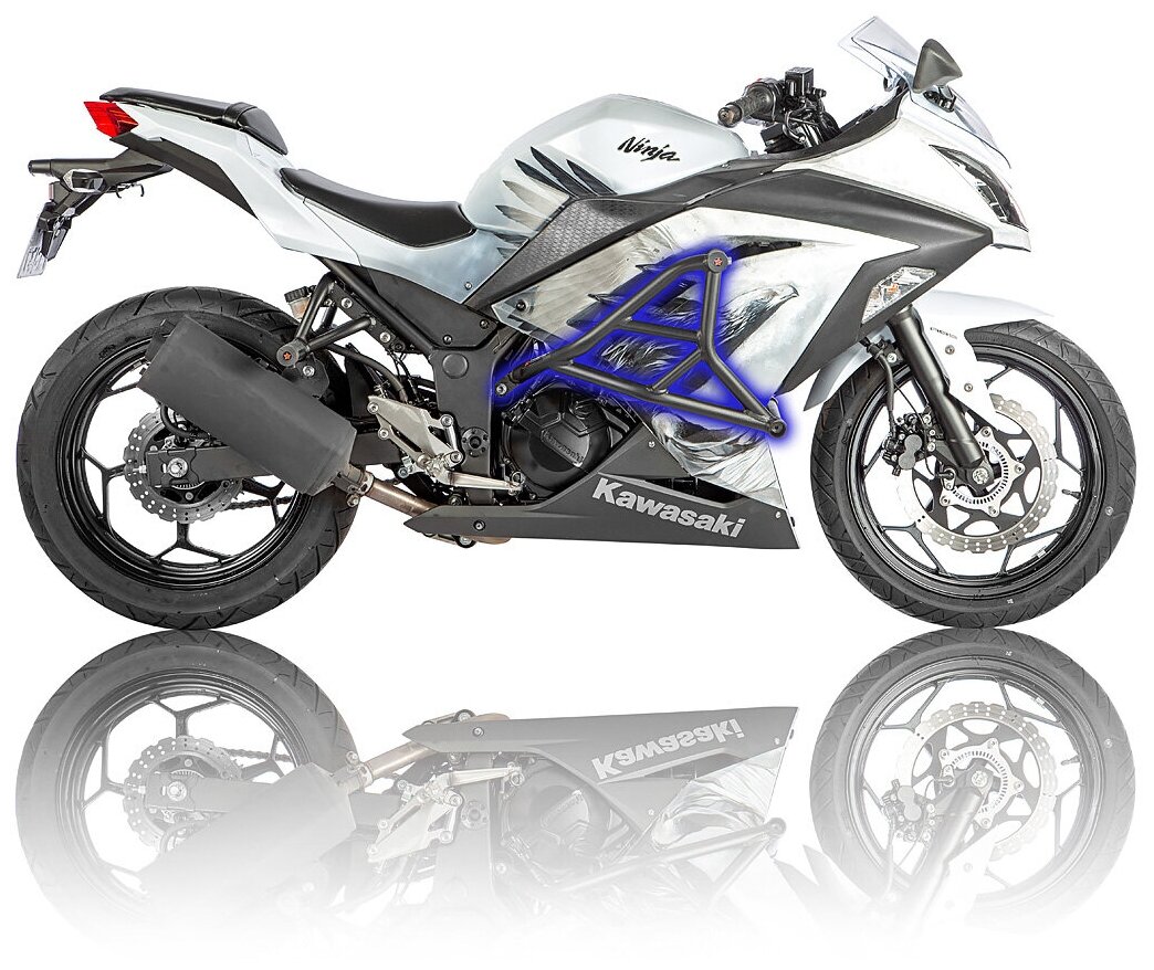 R-Gaza Защитная Клетка Kawasaki Ninja 300 2013-2017