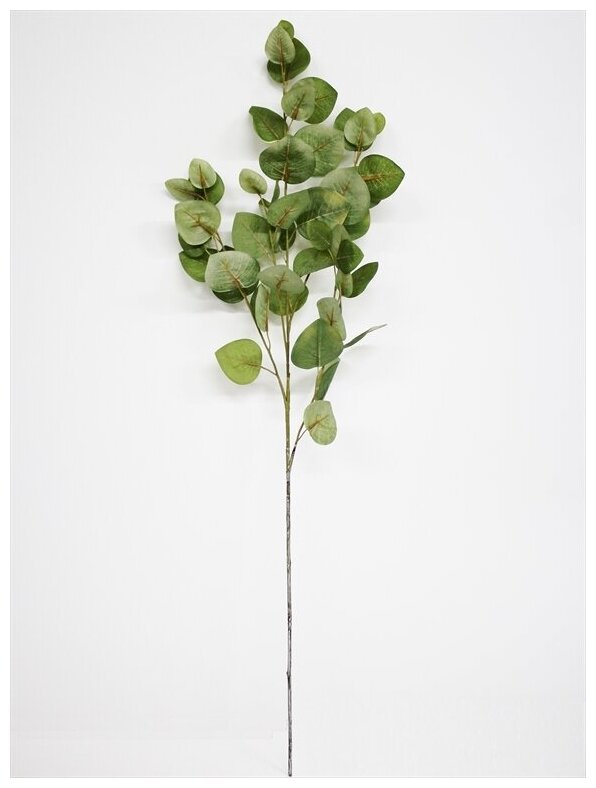 Ветка эвкалипта искусственная, 100 см, бренд CONEKO - декор для дома и офиса
