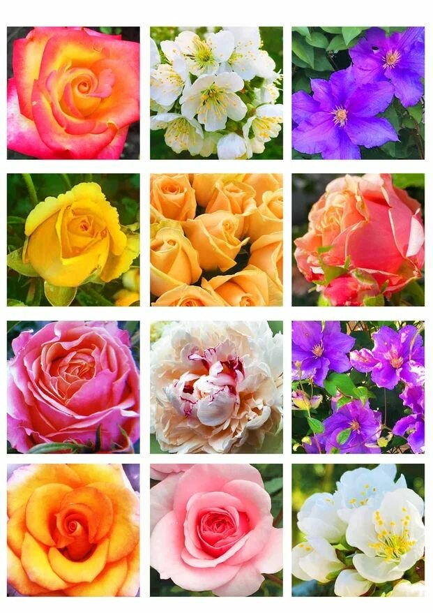 Водорастворимая картинка "Цветы"