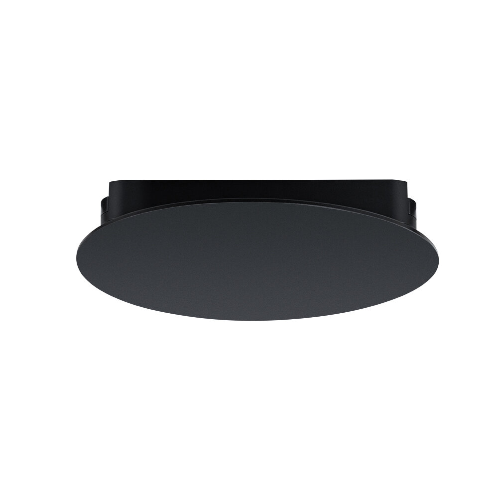 Настенный светильник Arte Lamp Rapid A6163PL-1BK