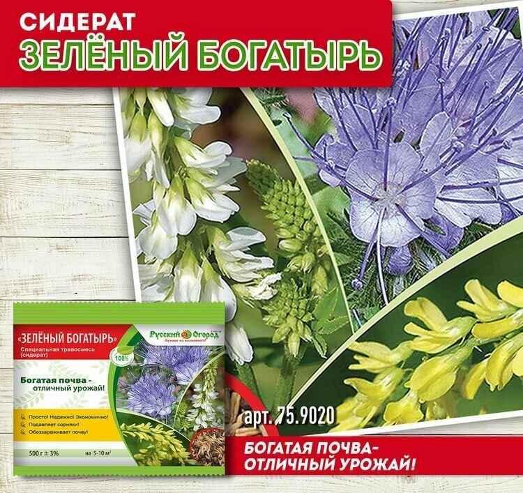 Сидерат Зелёный богатырь/Семена, Русский Огород. — фото 1