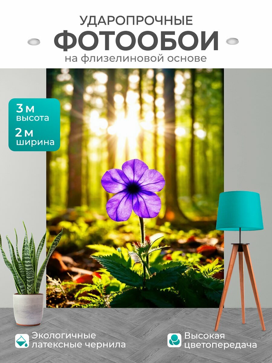 Фотообои моющиеся ударопрочные "Фиолетовый цветок в лесу с солнечными лучами" 200x300 см. флизелиновые на стену