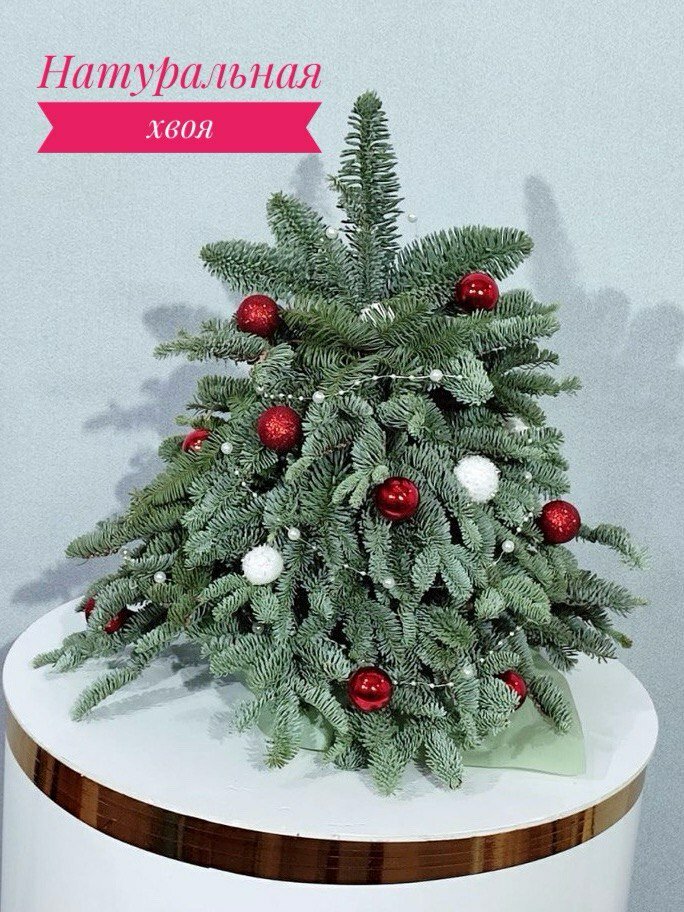 Ёлка живая нарядная 40см из натурального нобилиса