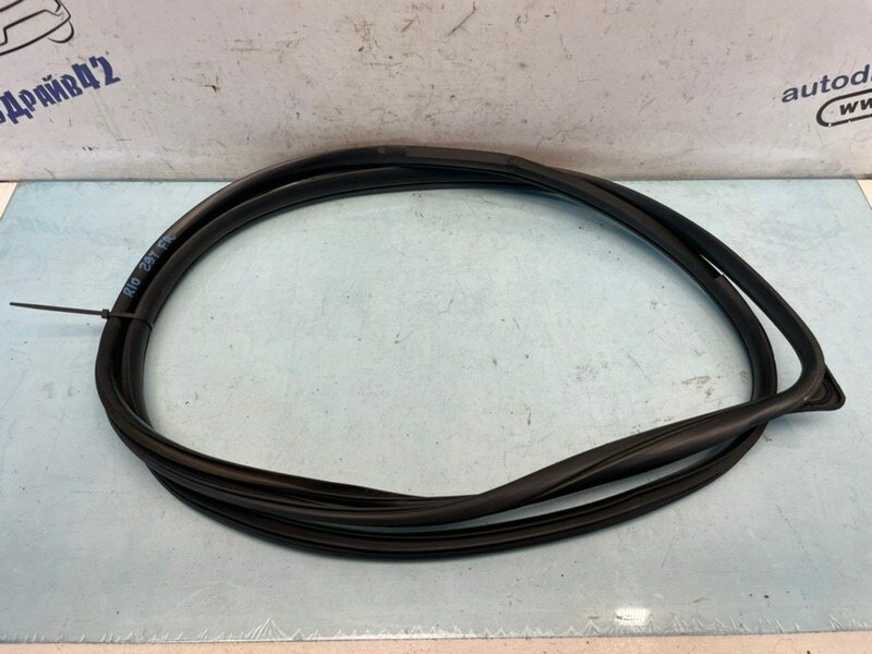 Б/У уплотнитель двери Kia Rio 2009 JB G4EE Перед. Прав. 49247 Hyundai-KIA арт. 821201G001