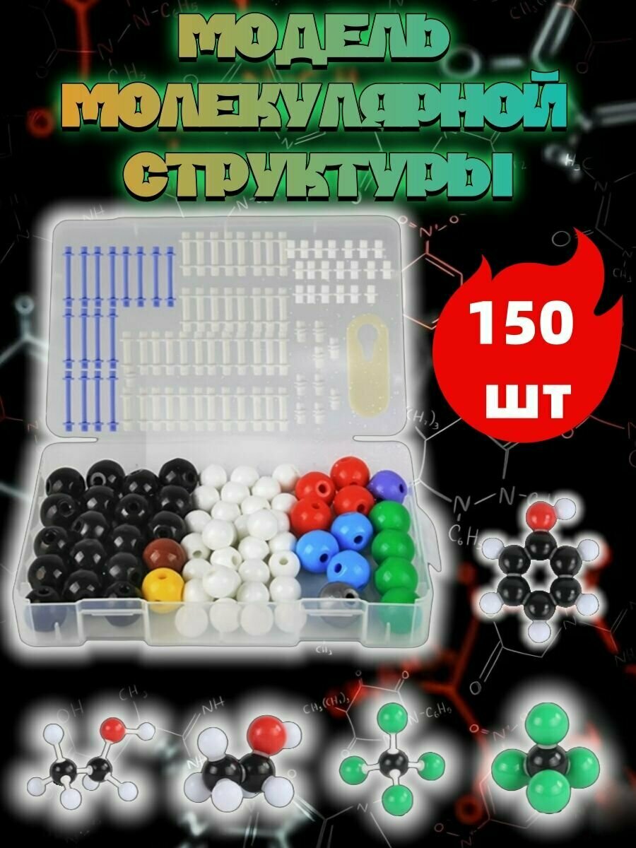 Анатомическая модель