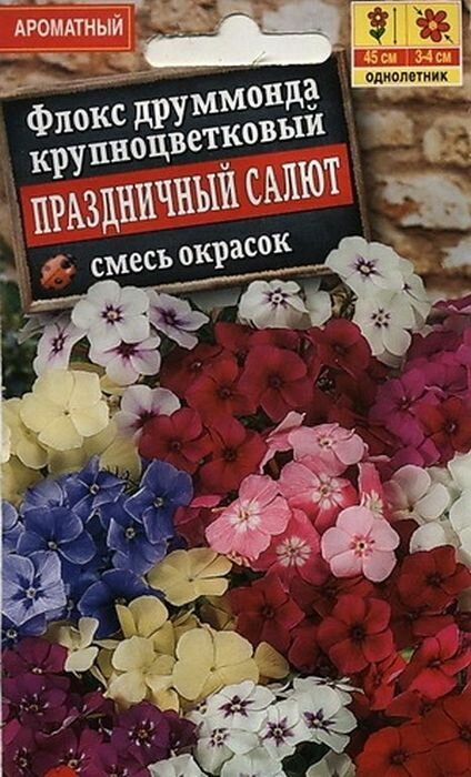 Флокс Праздничный салют, смесь окрасок