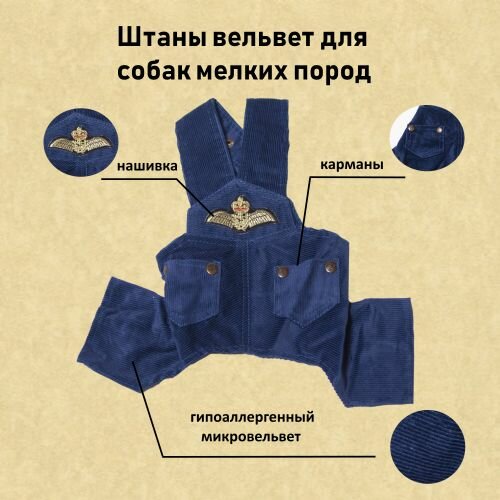 Штаны-джинсы вельвет для собак мелких пород, нашивка Крылья, размер XS, цвет синий