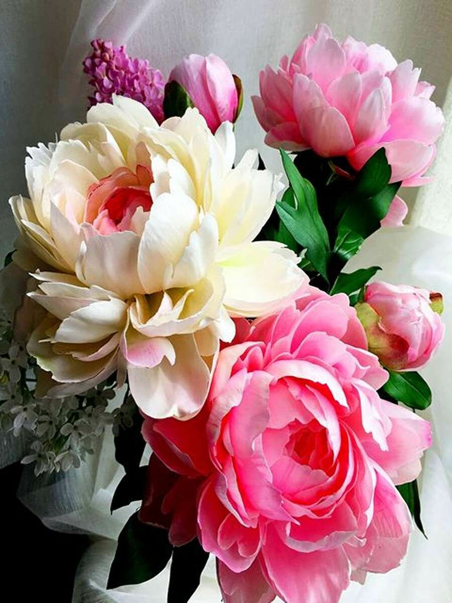 Картина по номерам