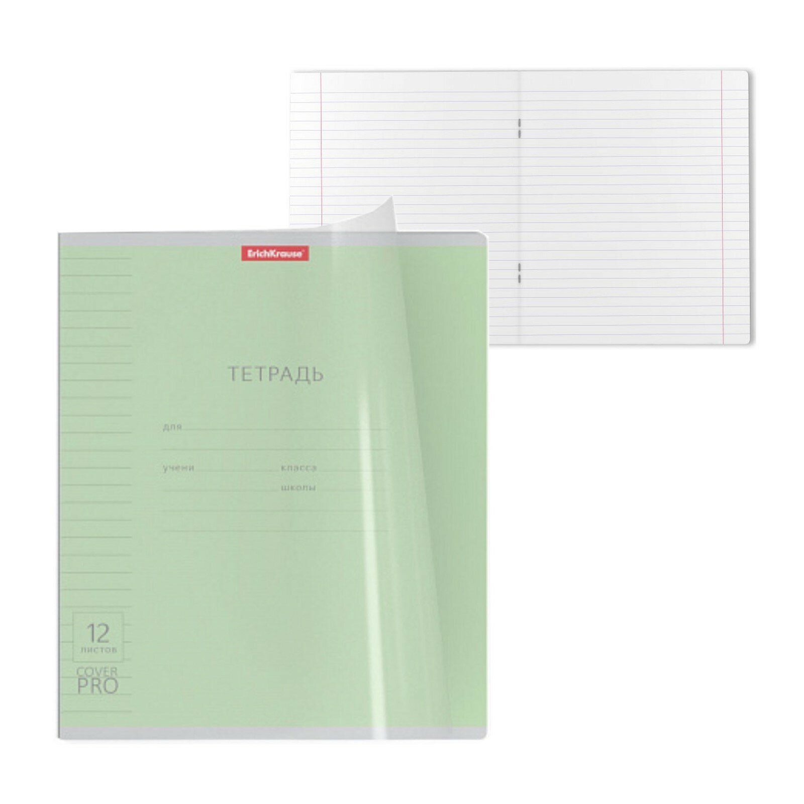 Набор /10 шт./тетрадей 12 листов в линию ErichKrause «Классика», обложка мелованный картон, зелёная