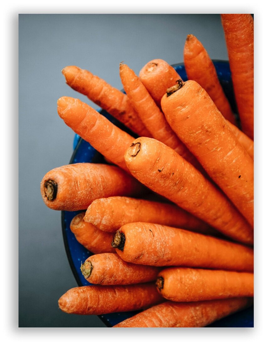Постер на бумаге / Морковь