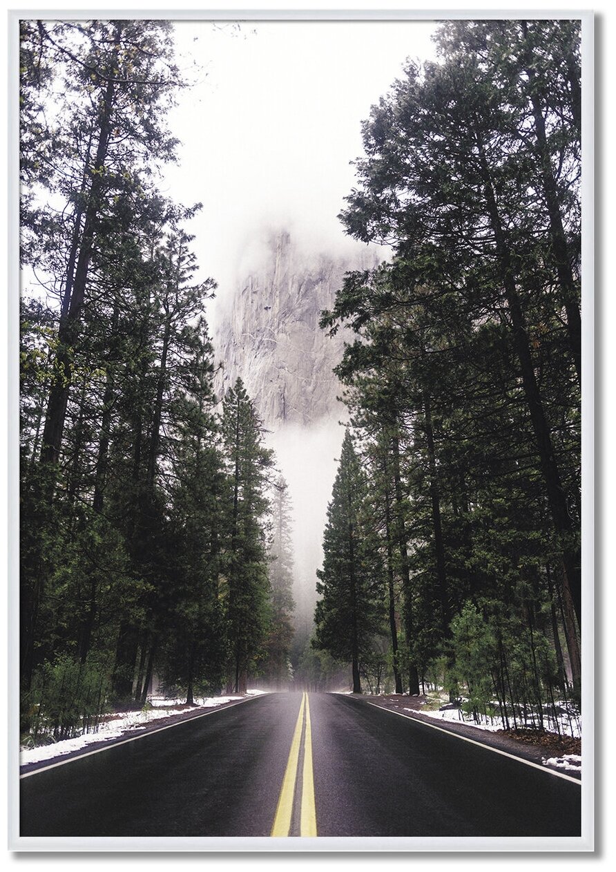 Постер в рамке Postermarkt Дорога в лесу, 50х70 см