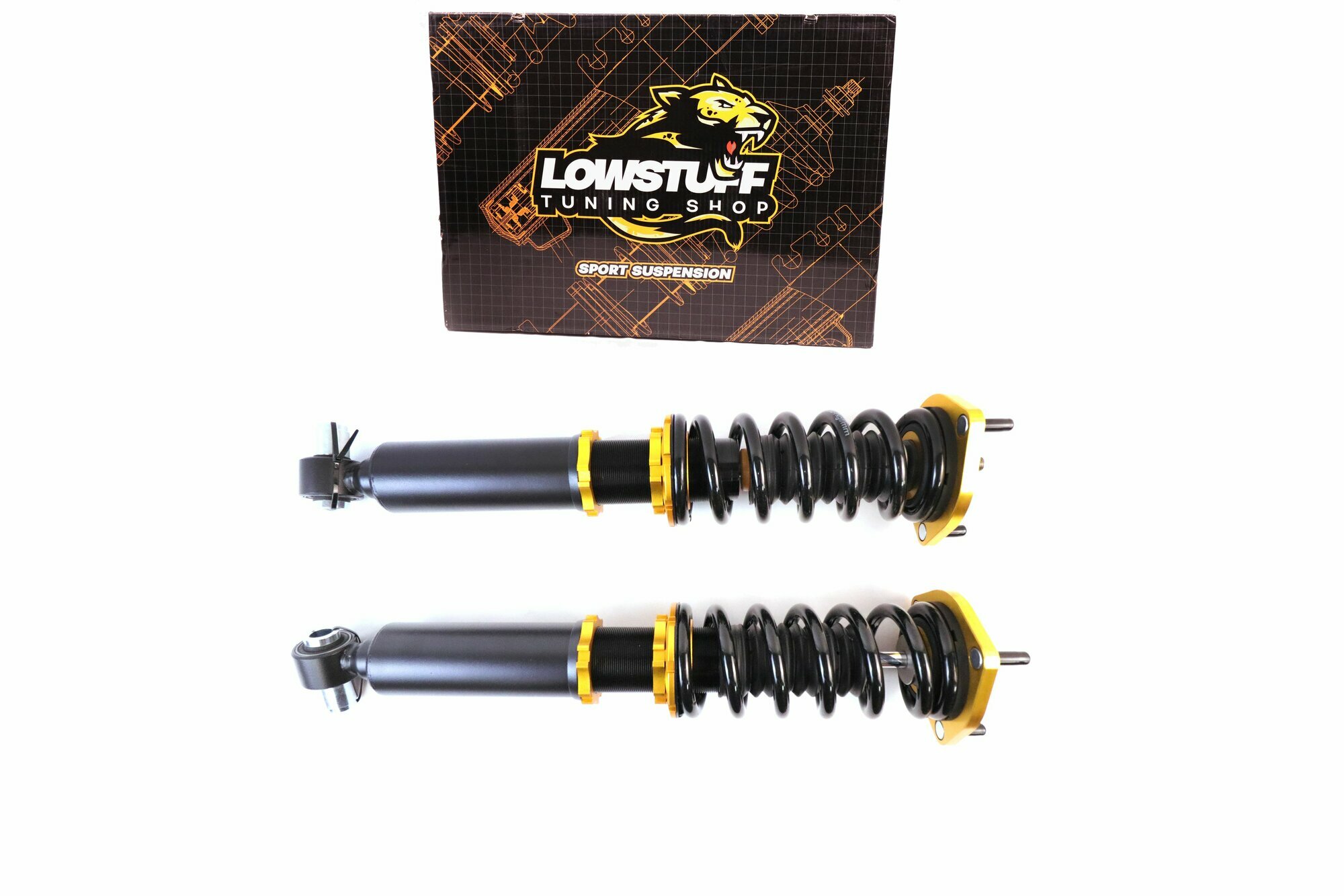 BMW F10 F11 F12 F13 F01 F06 Винтовая подвеска койловеры для задней оси с регулировкой высоты и жесткости EVO-III REARLSCSBM133