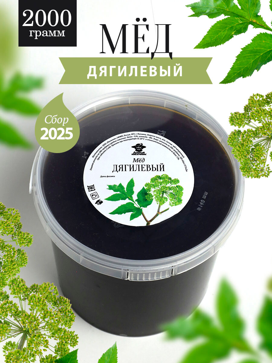 Дягилевый мед 2000 г, натуральный, полезный подарок