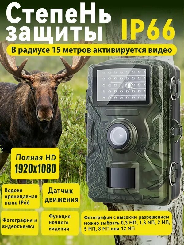 Фотоловушка