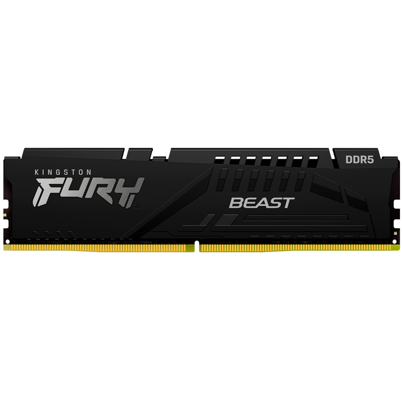 Оперативная память Kingston FURY Beast KF560C36BBE-8