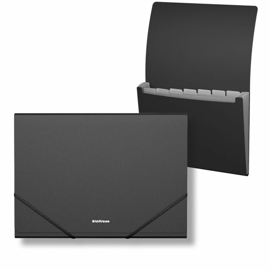 Папка А4 с 6 отд. на резинках Matt Classic 600мкм EK 43036/50414 черная