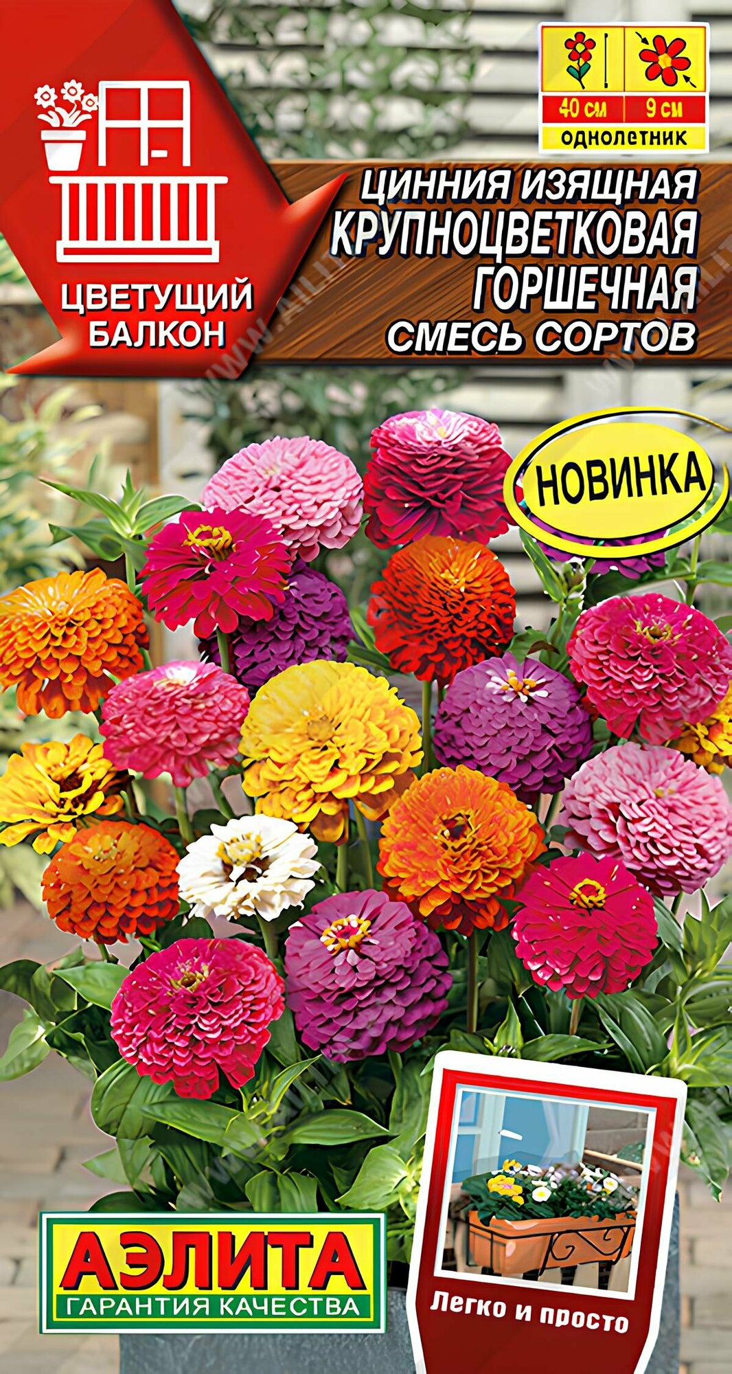 Цинния Крупноцветковая горшечная, смесь сортов (12 семян), Агрофирма Аэлита