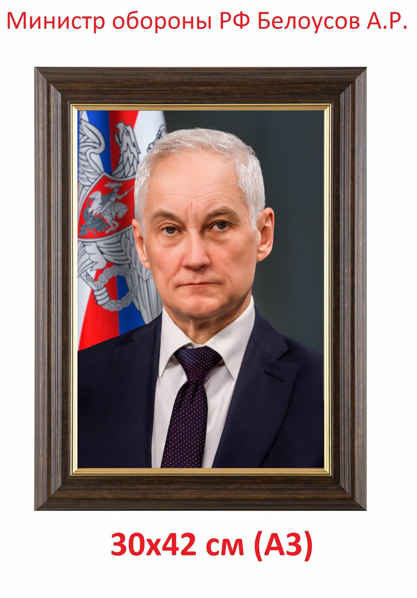 Портрет Белоусова Андрея Рэмовича, формат А3(29,7*42 см), пластиковая рамка.