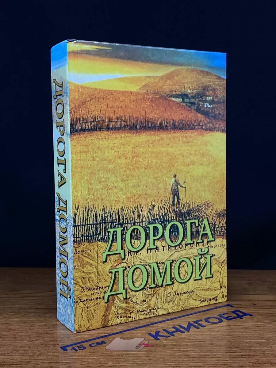 Книга. Дорога домой 2011 (2040801083718)