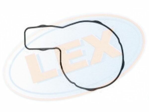 Прокладка помпы 21415427 (LEX PR-G1052)