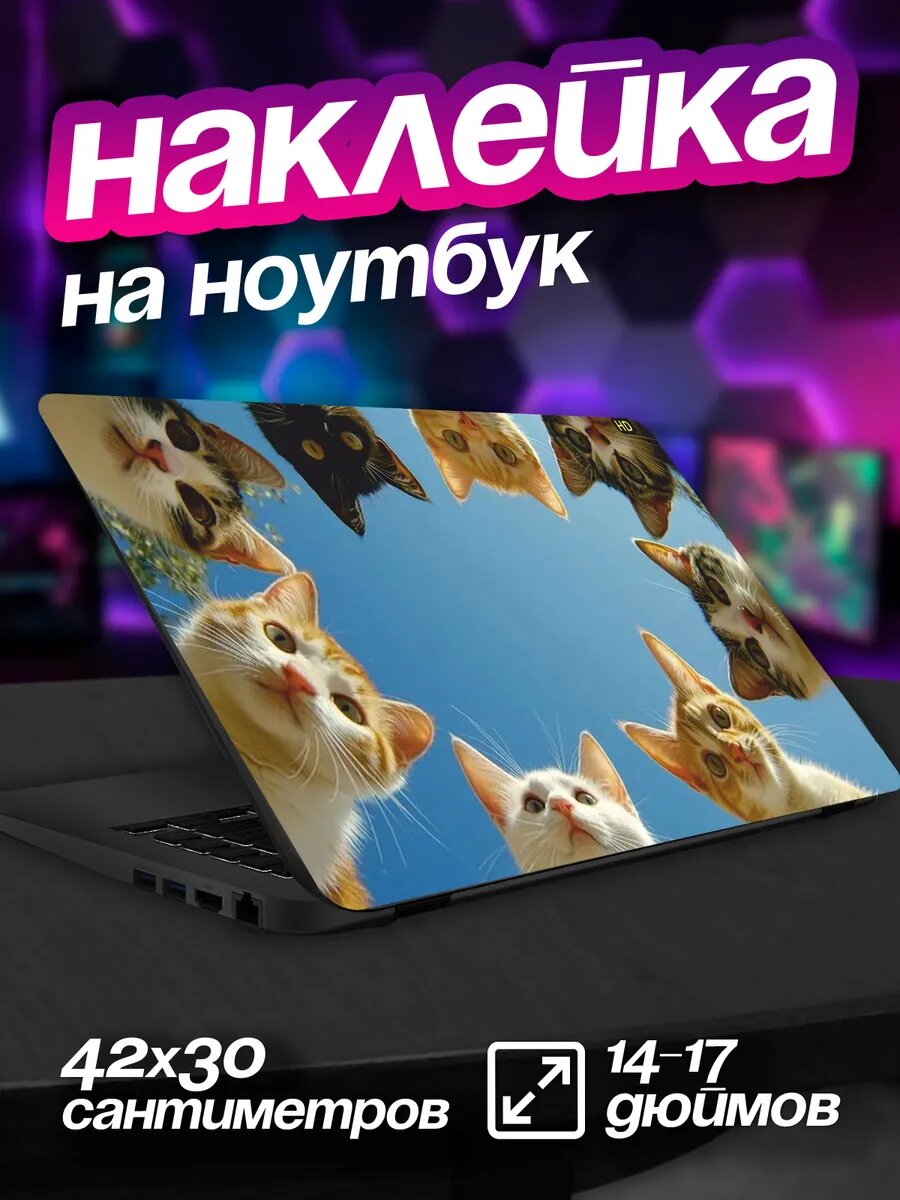 Наклейка на ноутбук крышку Котик мем