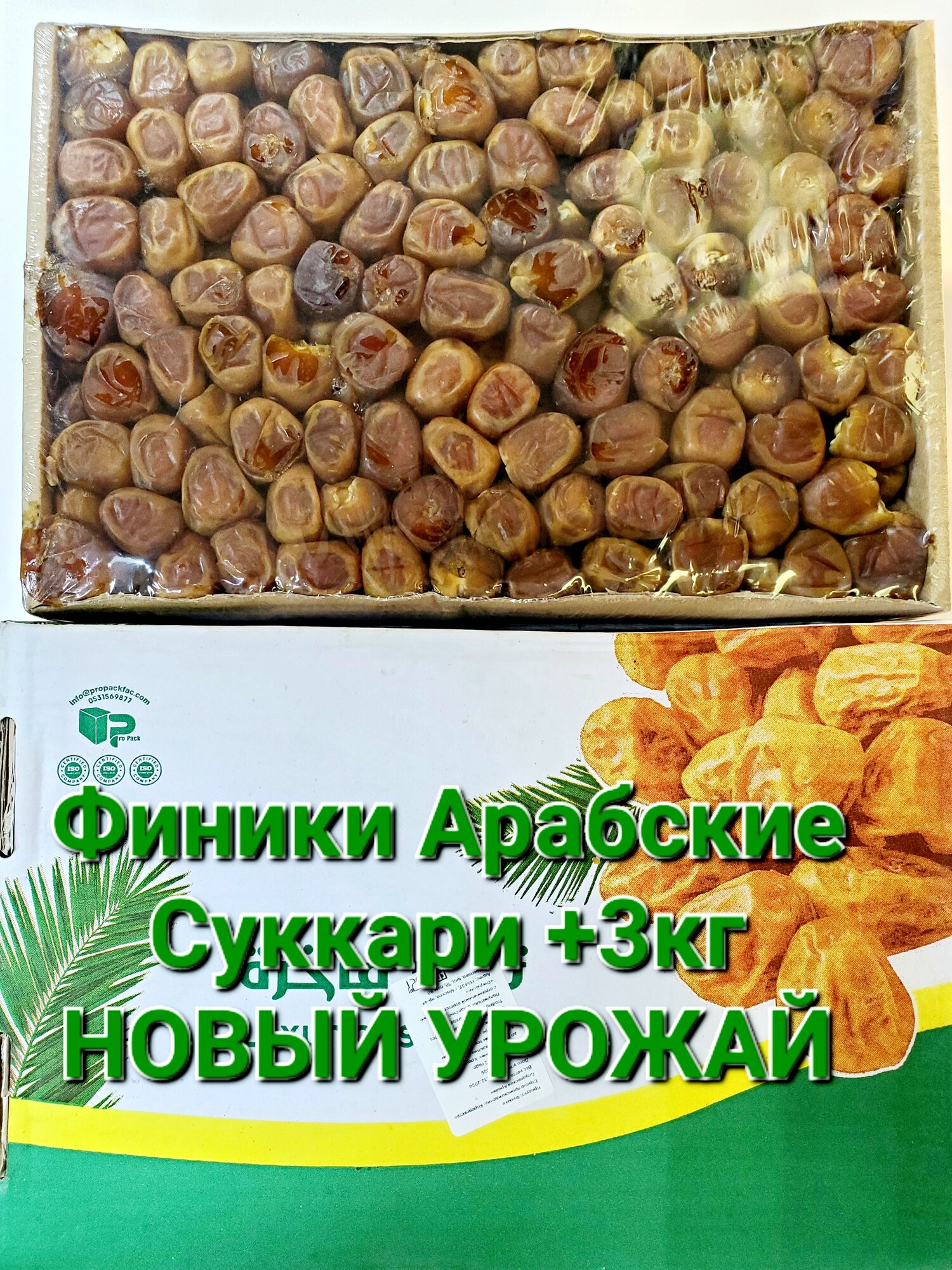 Финики Суккари