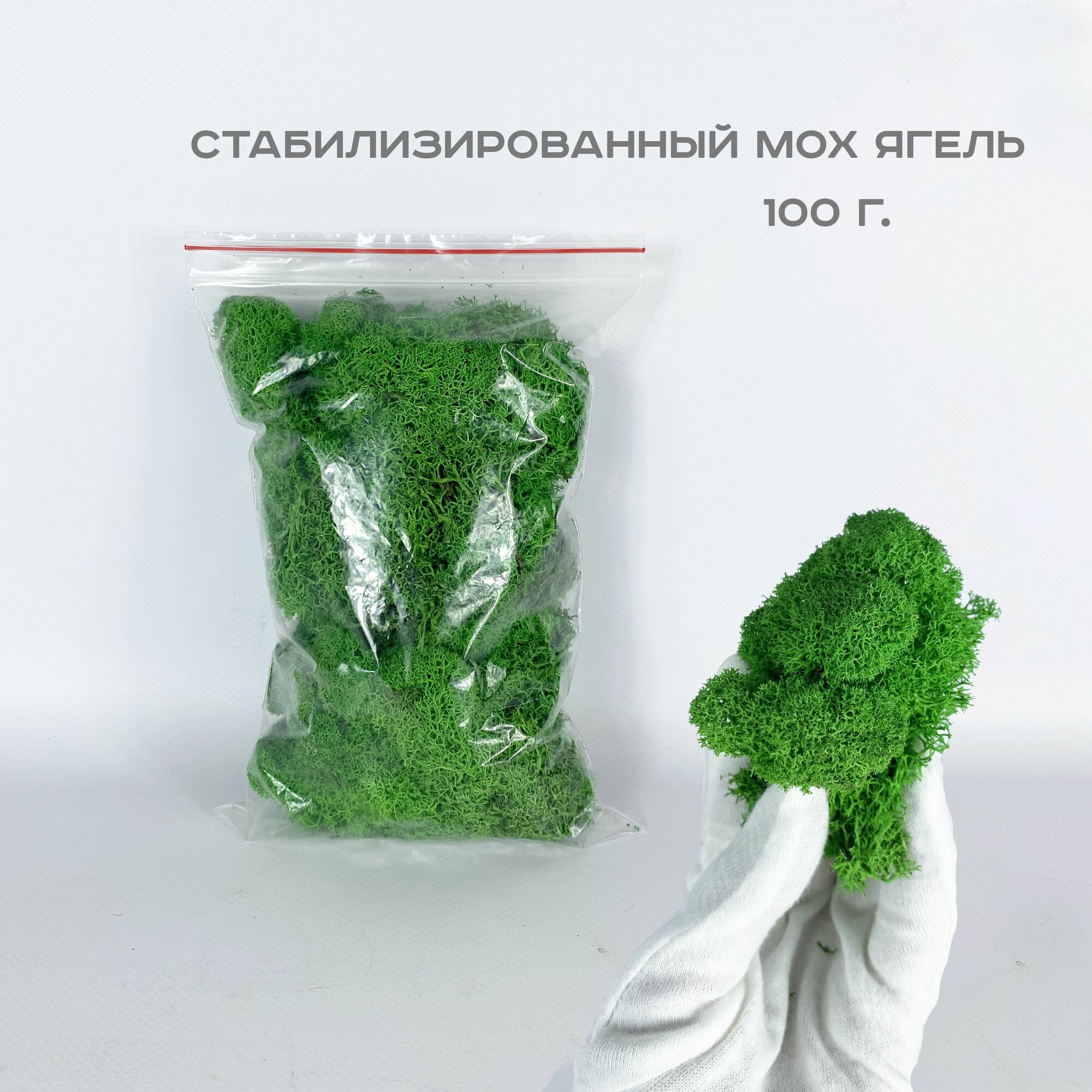 Стабилизированный мох Ягель для декора, цвет Яблоко, 100г в зип-пакете