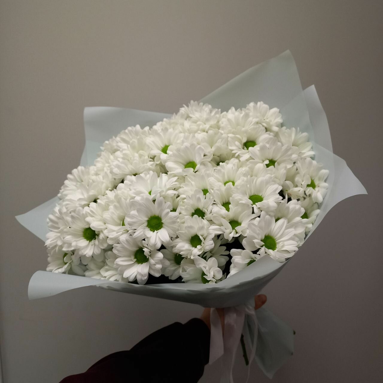 Букет Well-Flowers, круглый, монобукет, хризантемы, 19 штук, высота 60см, букет свежих цветов