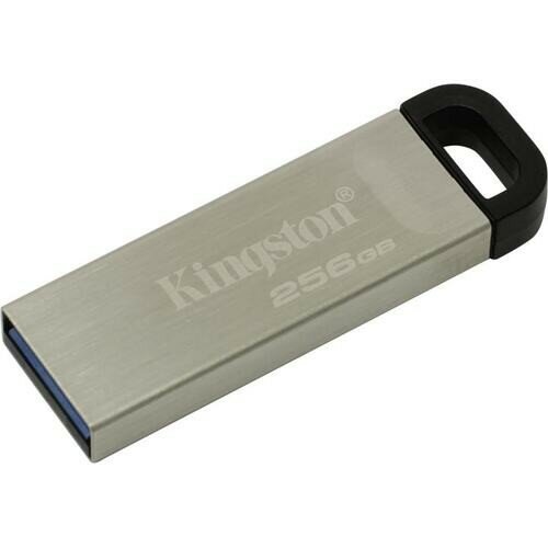 Флешка USB Flash Kingston DTKN/128GB, Серебристый 256 ГБ