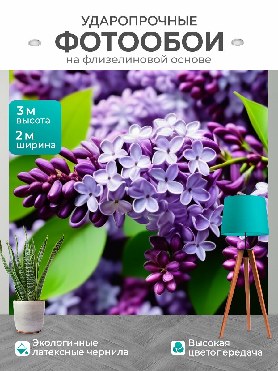 Фотообои моющиеся ударопрочные "Цветущая сирень в городском парке" 300x300 см. флизелиновые на стену
