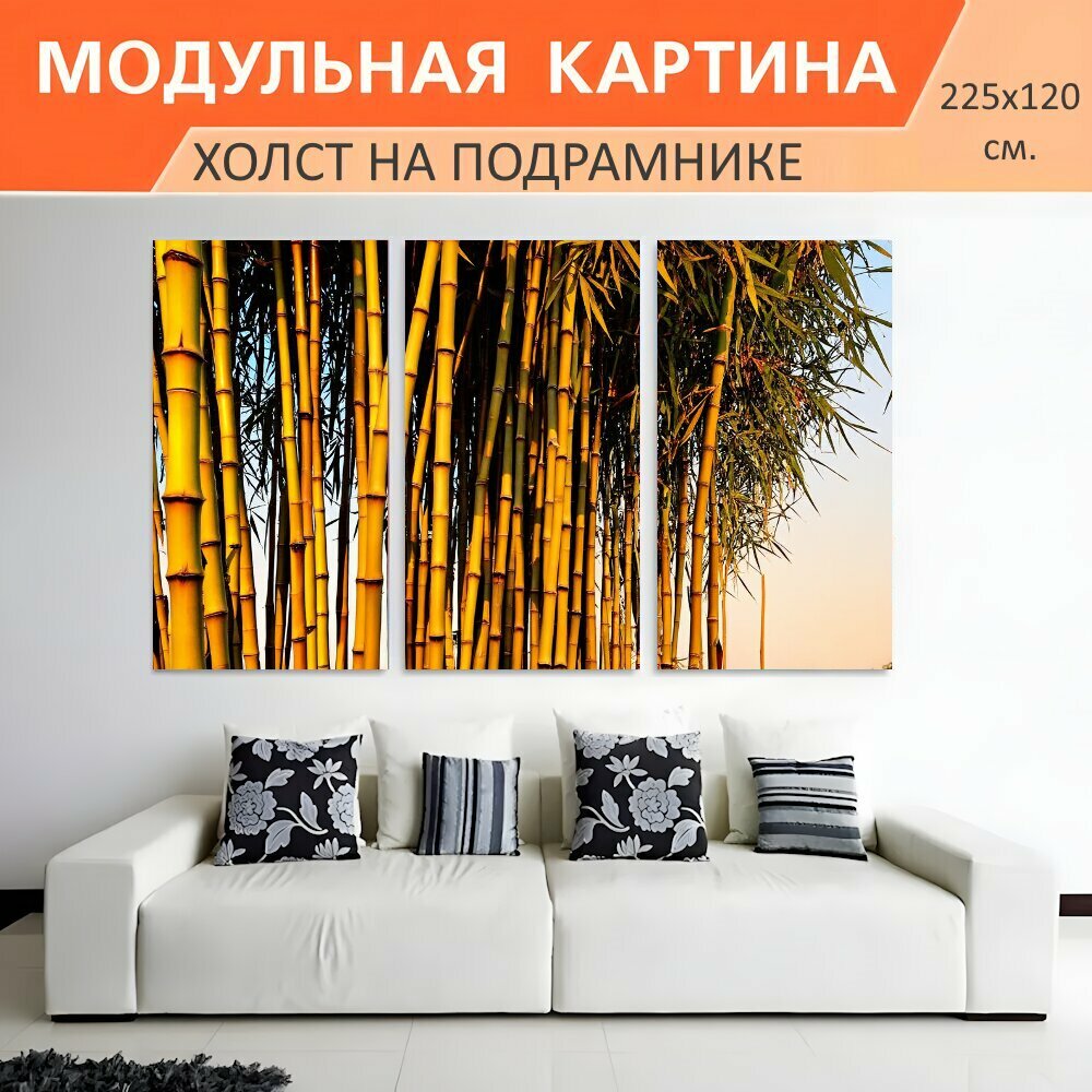 Модульная картина на холсте "Бамбук в вечернем свете заката, создающий теплую атмосферу и длинные тени" триптих на подрамнике 225х120 см. для интерьера