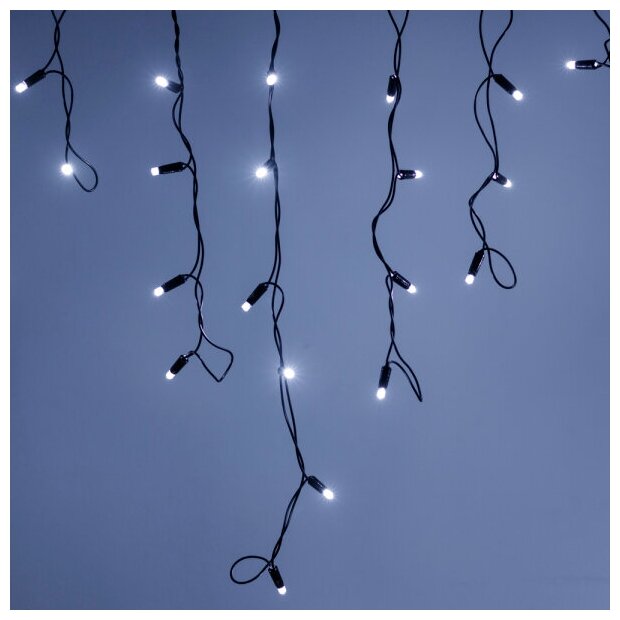 Светодиодная гирлянда ARD-EDGE-PRO-5600x900-BLACK-240LED-FLASH WHITE (230V, 15W) (Ardecoled, IP65) 026032