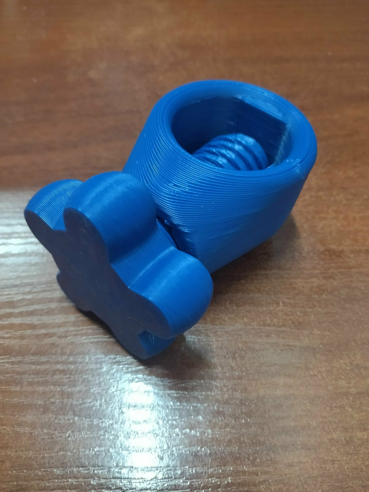 Орехокол синий