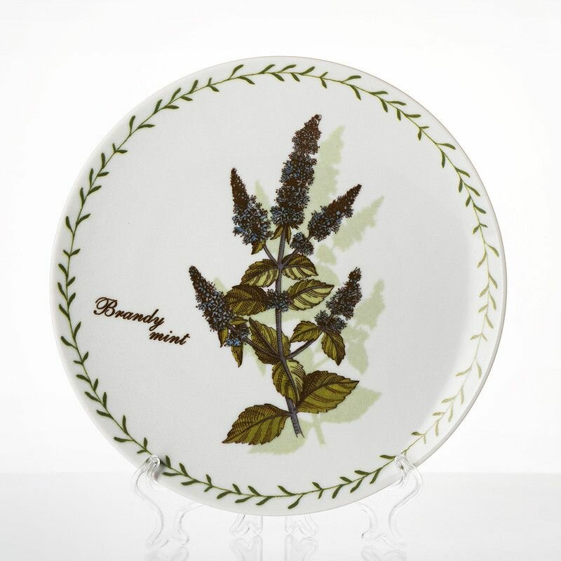 Набор фарфоровых тарелок мелких 200 мм "Ботаника Мята " ф. Универсал, 4 шт, Добрушский фарфоровый завод