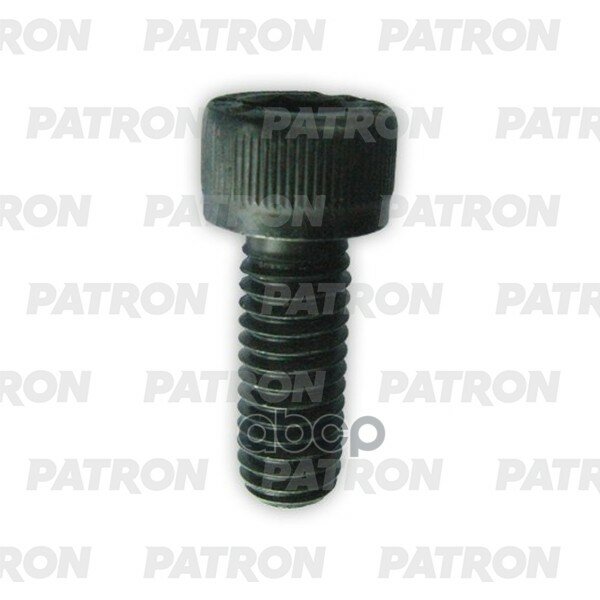 Болт металлический Имбус болт универсальный M5X25 PATRON арт. P37-2940T